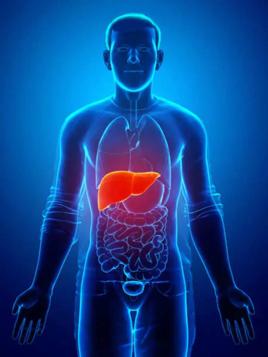 Foods for a strong, healthy liver | Times Now