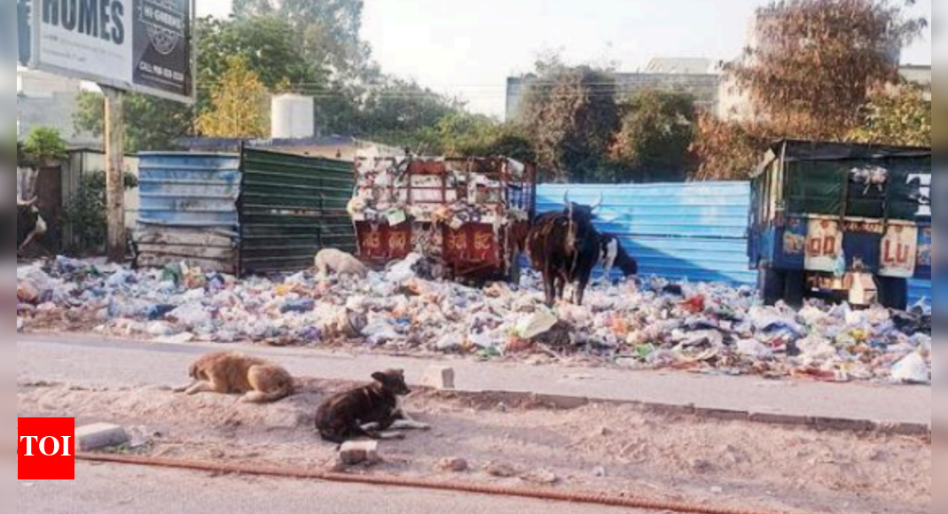 Dhakoli: Dhakoli Rwa Roots For Better Amenities | Chandigarh News ...