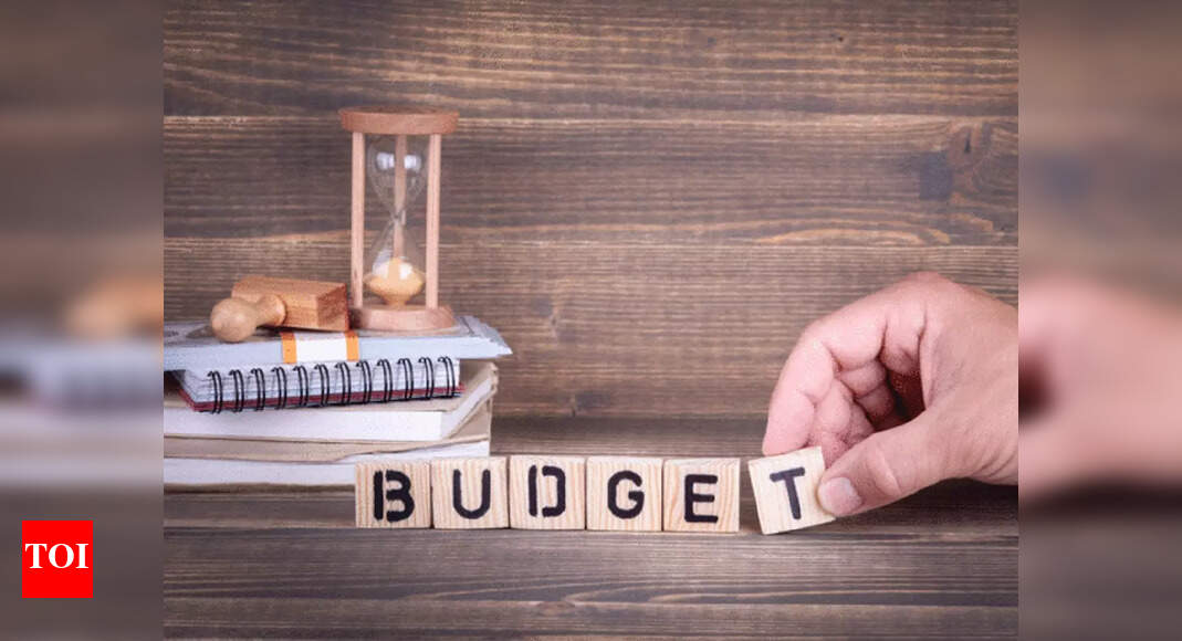 Union Budget 2023: All that it has for the tech industry - Times of India