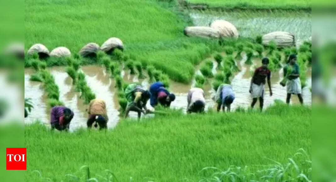 'Will destroy agri-sector': Maha farm leaders assail Nirmala's Budget ...