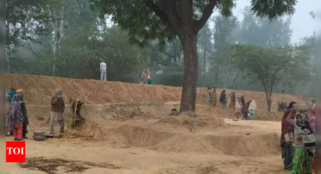 Man-made wetland coming up at Badbar village in Punjab's Barnala district | Chandigarh News ...