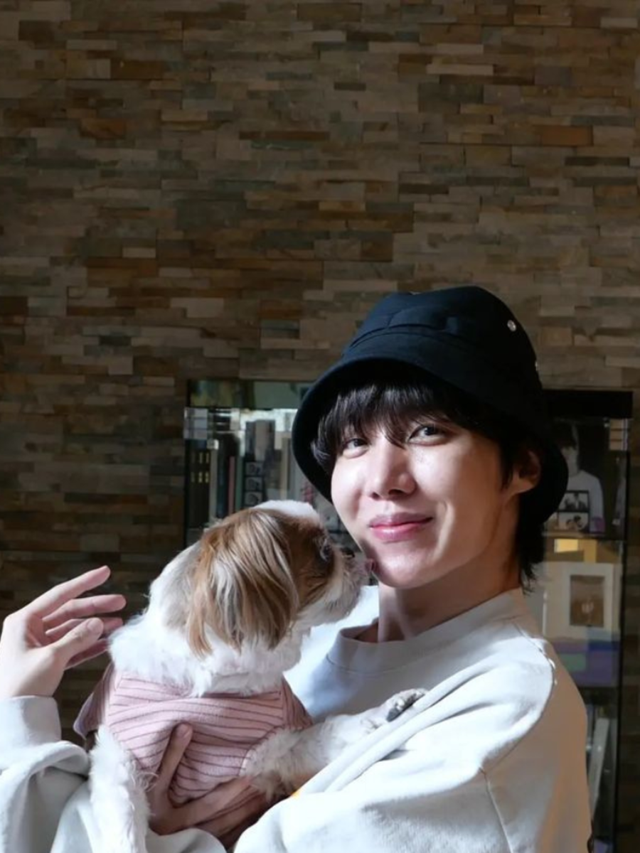 BTS' J-Hope drops 'paw-fect' pics with furry friend Micky | Zoom TV
