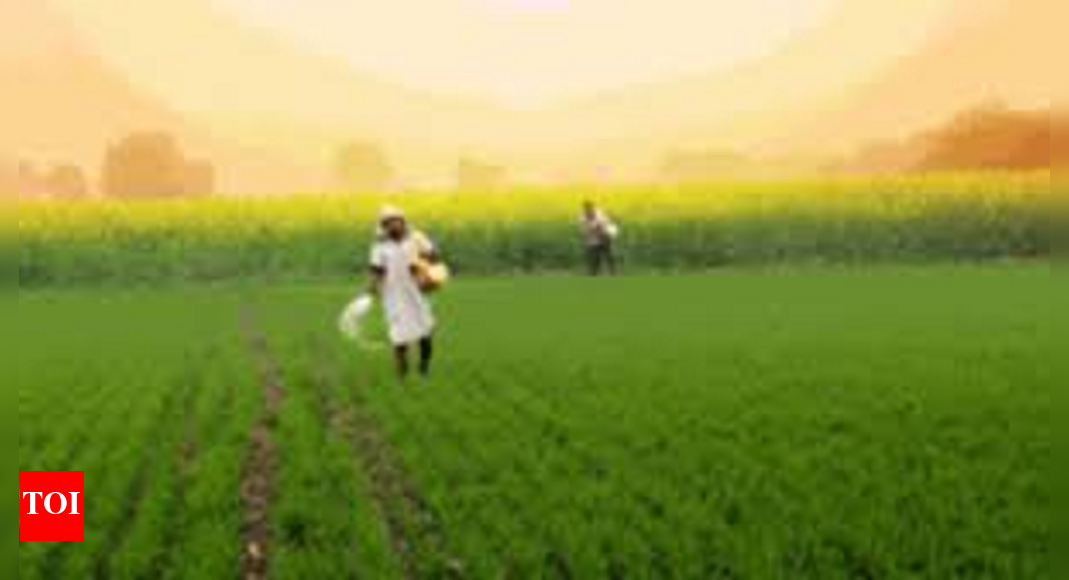 Himachal Pradesh: Organic Farming Area In Hp Registers Increase In 3 ...