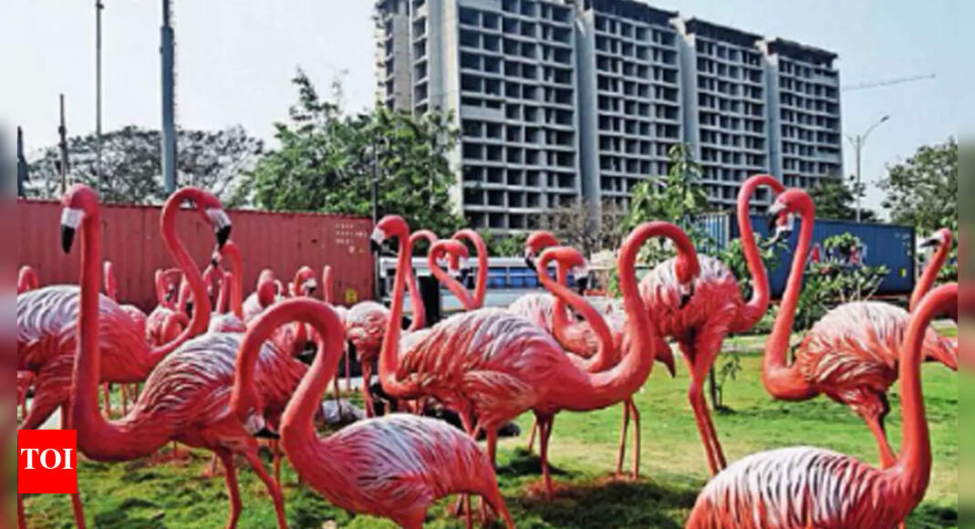 Navi Mumbai’s Flamingo City identity in danger due to eco destruction ...