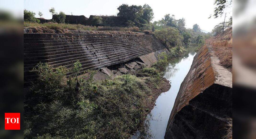 ‘Can give K’taka water for drinking, but not irrigation’ | Goa News ...