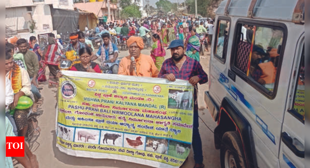 Animal sacrifice prevented at Havanur's Dyamavva jatra | Hubballi News ...