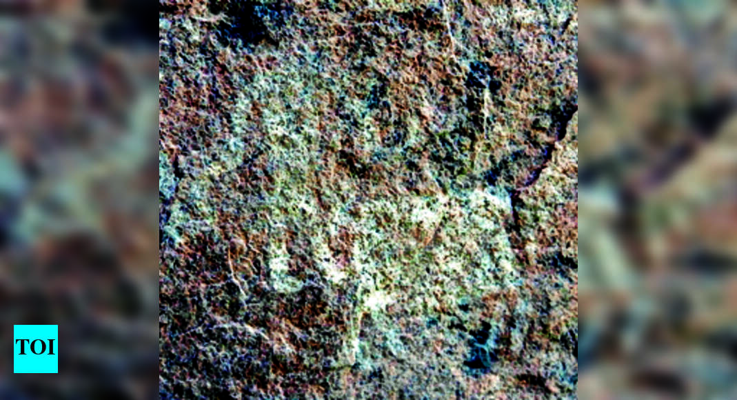 Madurai: Rock Art Cluster Found In Poosaripatti Near Madurai | Chennai ...