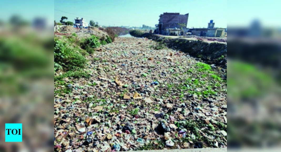 Nullah: Activists Carry 12th March To Save Nullah | Ludhiana News ...