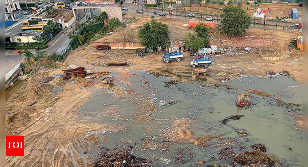 In Gurugram, No drain link, vacant plot turns into cesspool in this ...