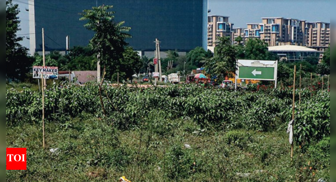 Now, Upkeep Of Green Belts Gets Corporate Push | Gurgaon News - Times ...