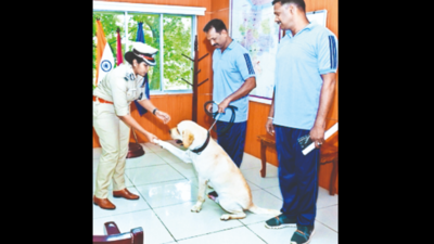 Trichy: New Entrant In Trichy Police Dog Squad | Trichy News - Times of ...
