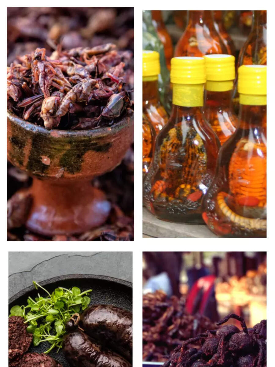 18 Disgusting foods that people eat | Times of India