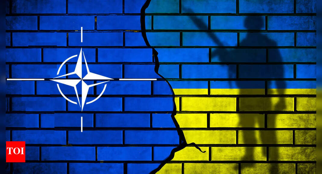 Nato: 'India shares democratic values that Ukraine is defending' | India News - Times of India