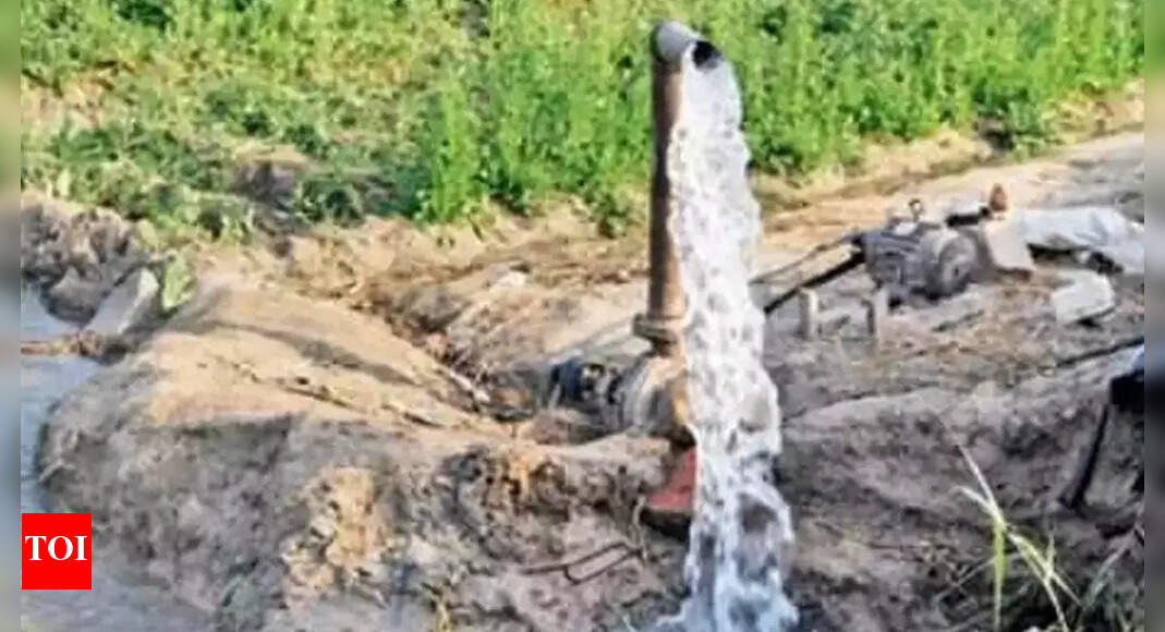 Delhi extracts more than it recharges | Delhi News - Times of India