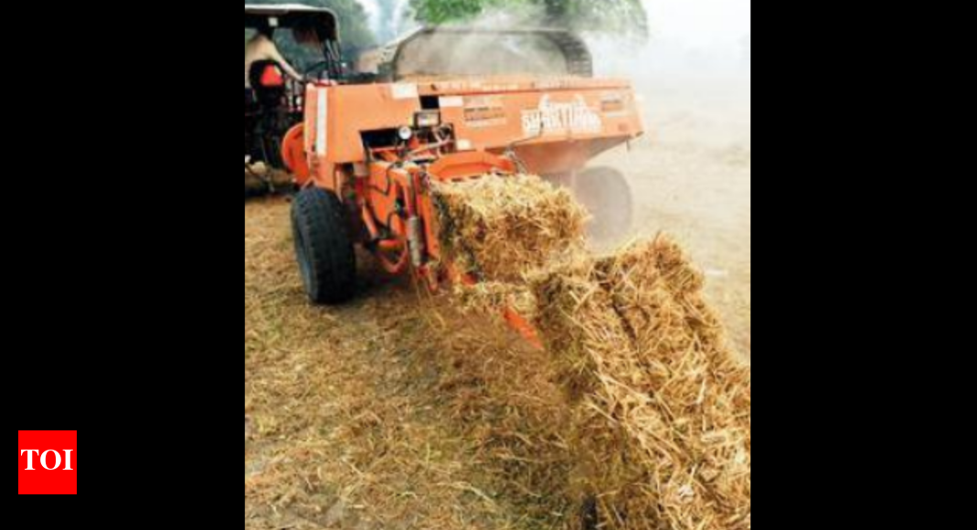 Punjab: Paddy Straw: Pb Promises To Cut Farm Fires By Half In 2023 ...