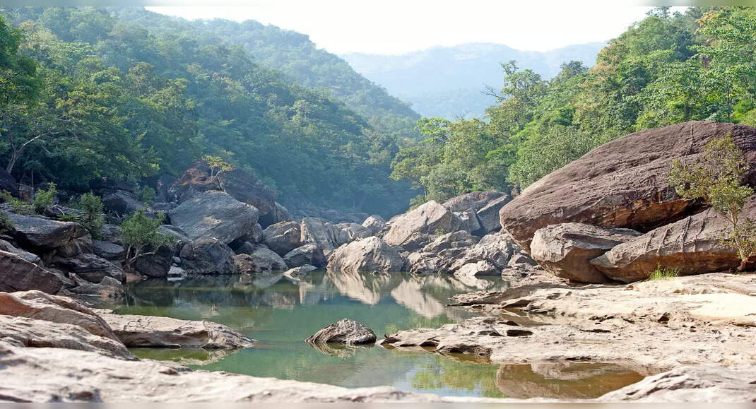 Go on a walking safari inside Satpura National Park; here’s why ...