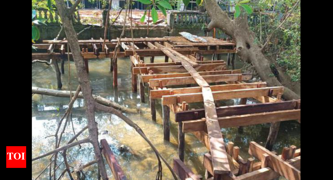 Patto: Patto mangrove boardwalk to be ready by March in Goa | Goa News ...