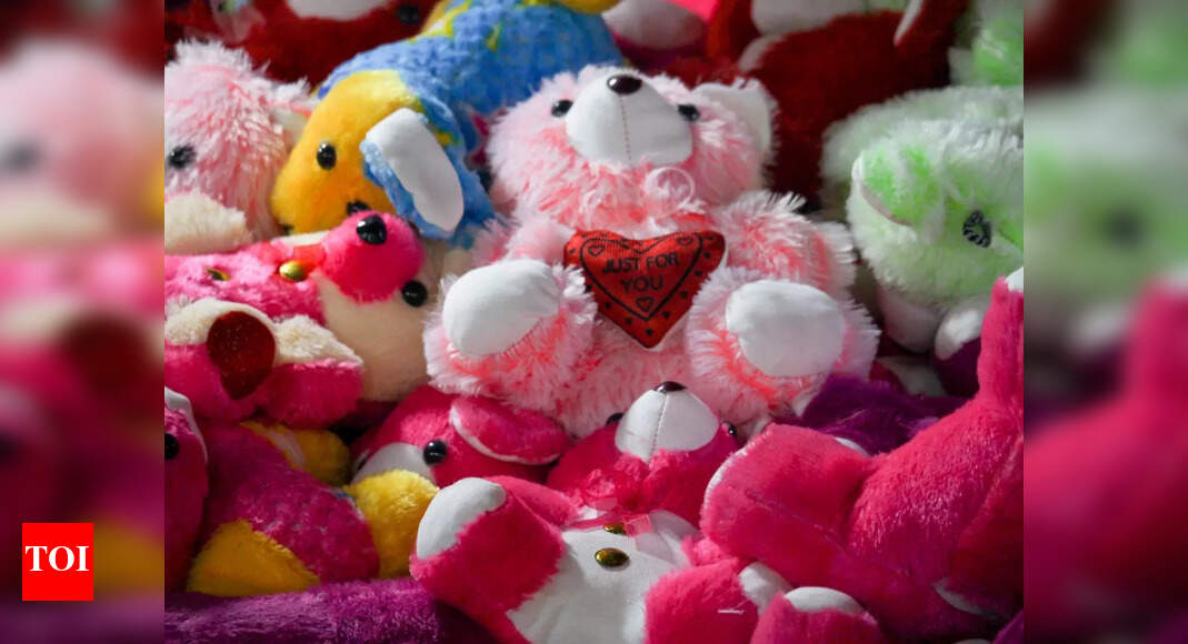 Happy Teddy Day 2023: Women share why they love Teddy bears so much ...