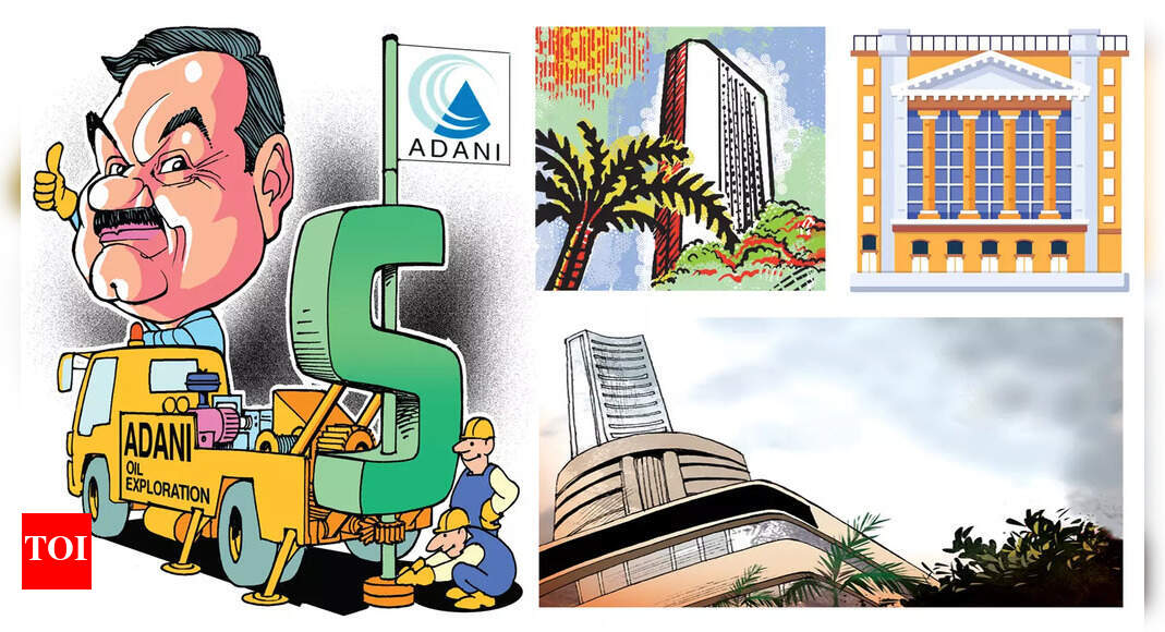 Adani: 5 lessons we all, including govt, can learn from Adani crisis ...