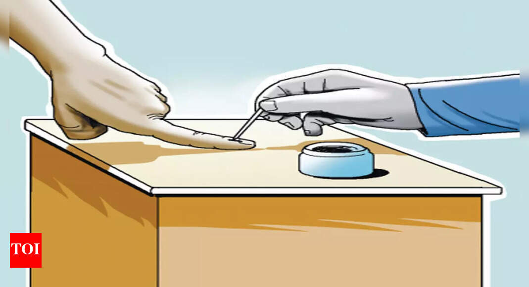 Eci: Eci Orders 1.3l Vials Of Indelible Ink, 3.9l Seals | Mysuru News ...