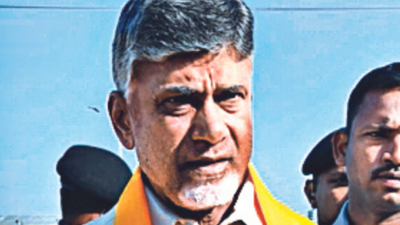 Naidu: N Chandrababu Naidu targets chief minister for declaring Visakhapatnam as state capital ...