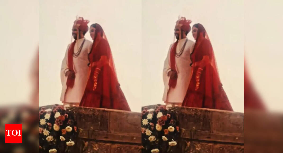 Who is Smriti Irani's daughter who just got married? - Times of India