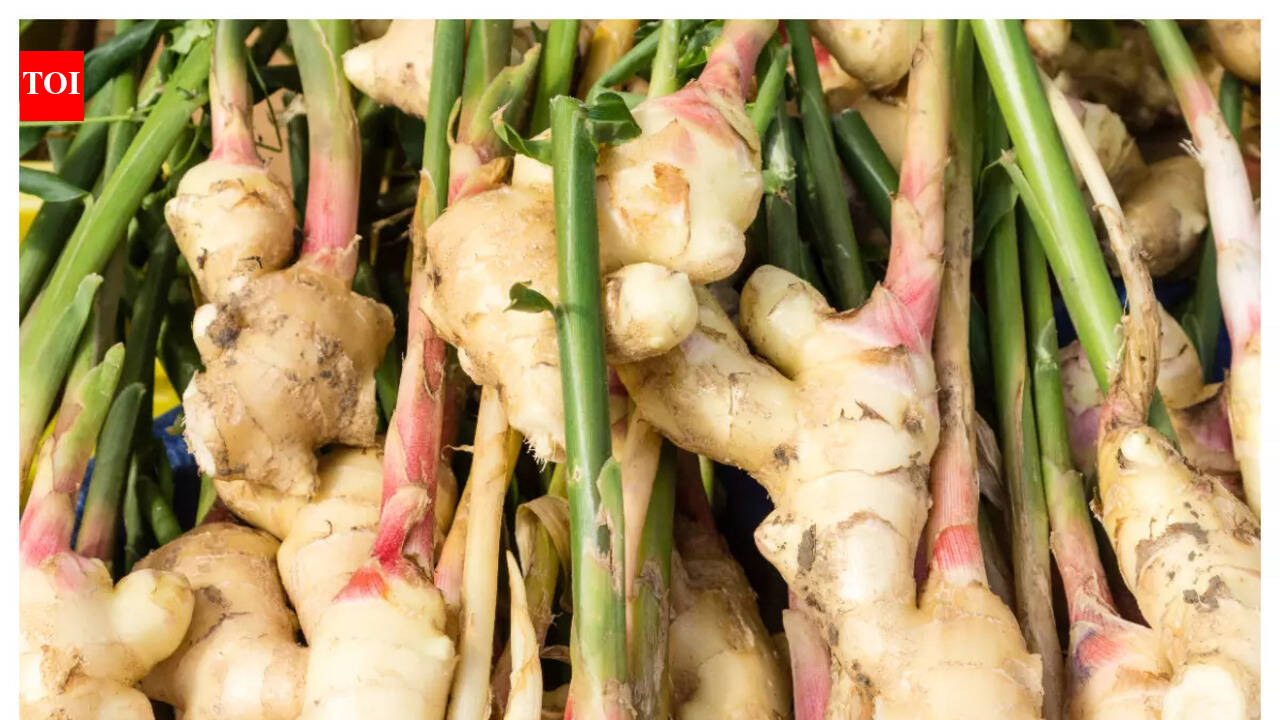 What is Mango Ginger and is it really healthy