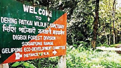 Gauhati HC seeks map of Dehing Patkai, Saleki with coal-mining areas ...