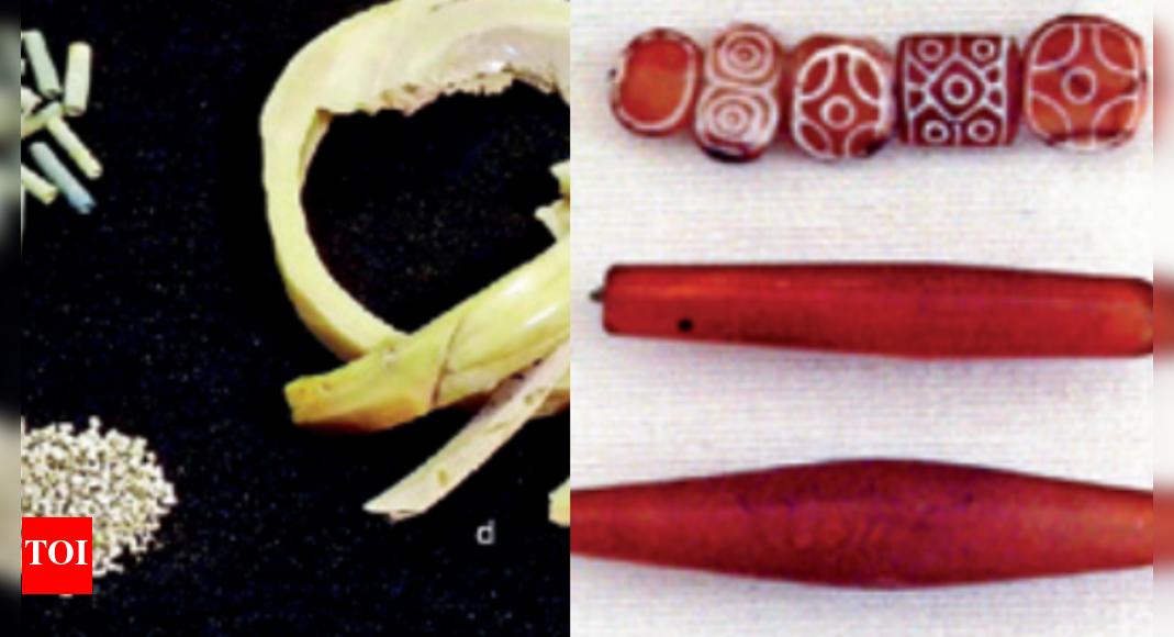 Even 5,000 years ago, Gujarat meant business; flourished in Harappan era | Ahmedabad News ...