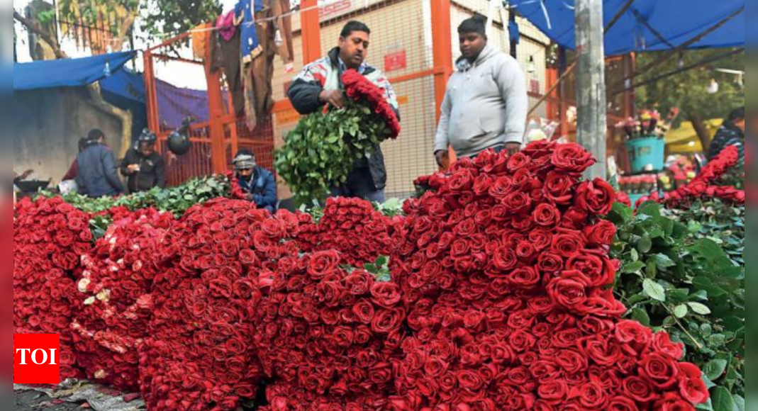 Valentine-effect: Wholesale flower sales bloom, not retail | Delhi News ...