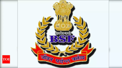 Rastogi: Bsf In Process Of Developing Anti-drone System: Rastogi ...