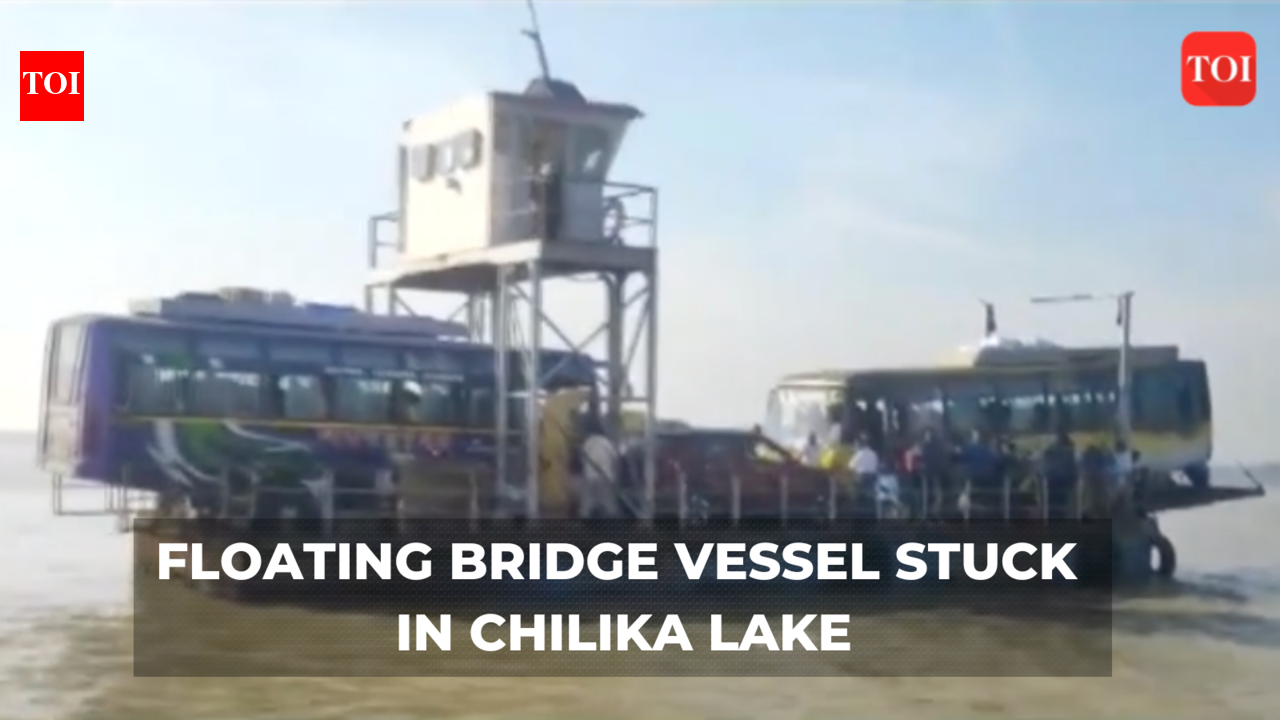 chilika lake: On cam: 100 passengers, 2 buses and 10 bikes stranded as ...