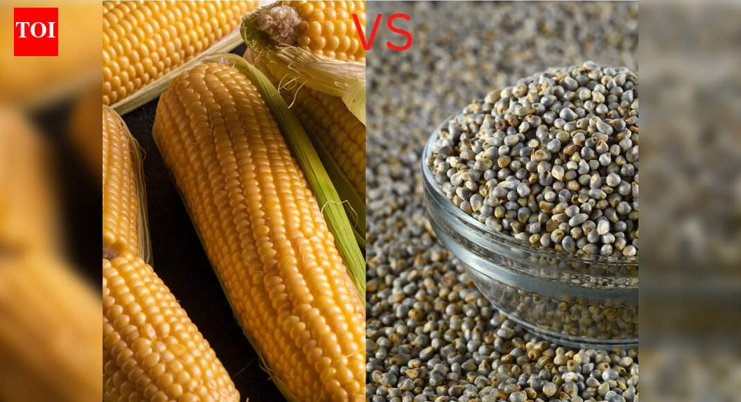 Maize vs Millet: Which one is better for your health