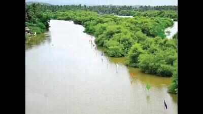 Third phase of River Sal desiltation to start soon | Goa News - Times ...