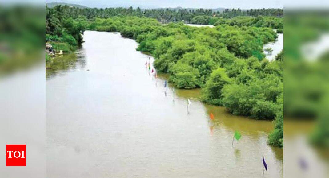 Third phase of River Sal desiltation to start soon | Goa News - Times ...