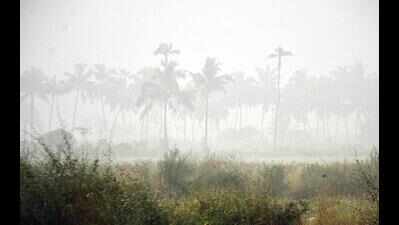 Goa: Temperature likely to fluctuate by 2 degrees till Thursday | Goa ...