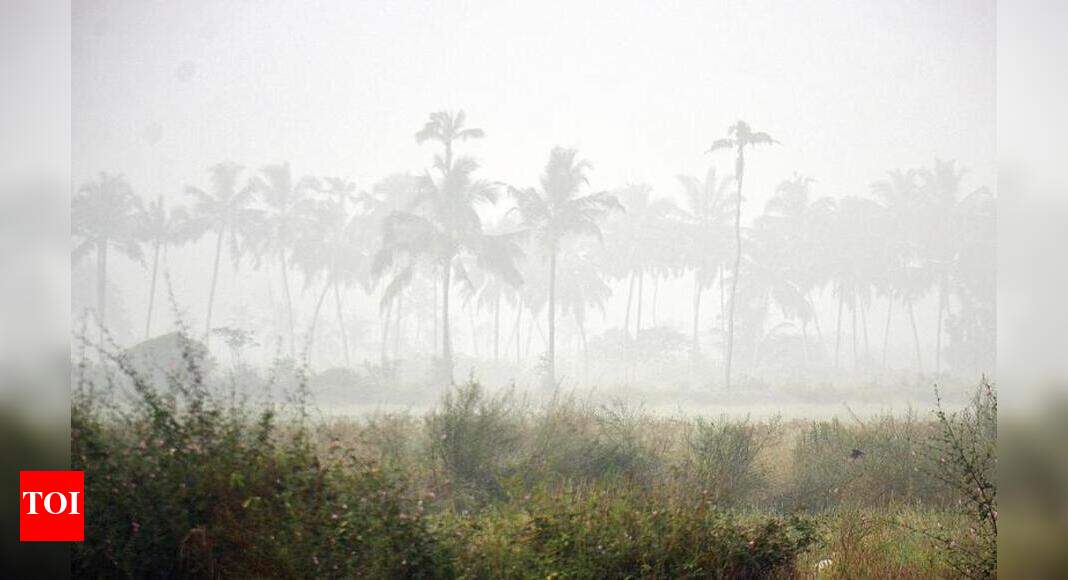 Goa: Temperature likely to fluctuate by 2 degrees till Thursday | Goa ...