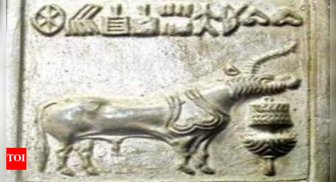Indus script 'syntax' matches modern languages in Gujarat: Study ...