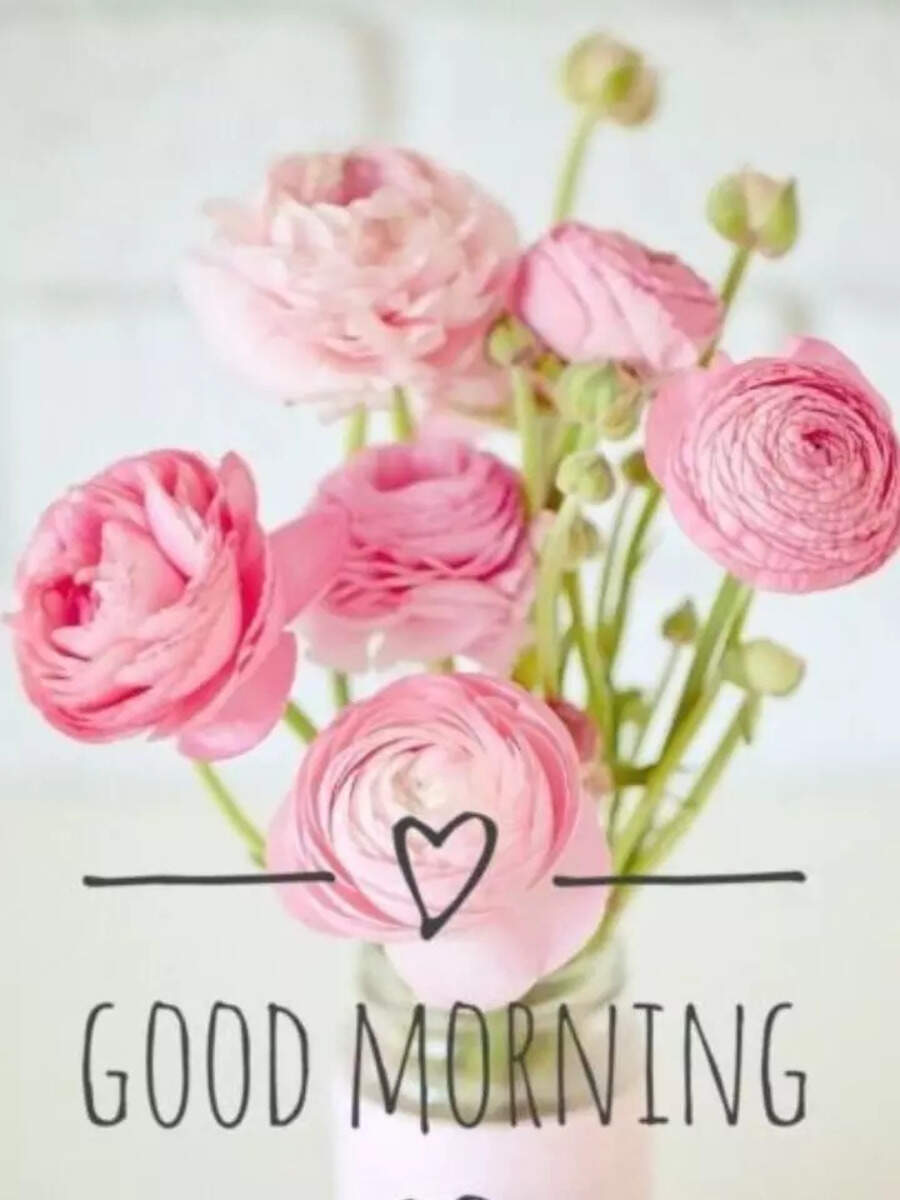 Happy Monday good morning quotes and images for a fresh beginning ...