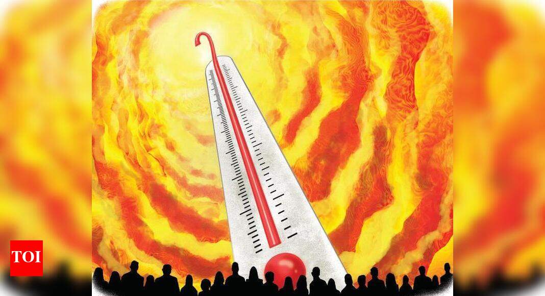 Mercury rising: This Feb has seen 2 hottest days since 1969 | Nagpur ...