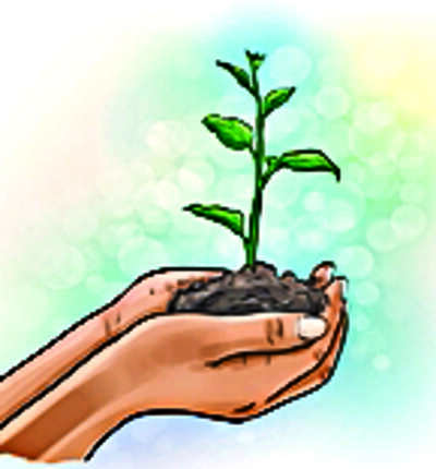 Plan To Increase Green Coverage In City Areas | Kochi News - Times of India