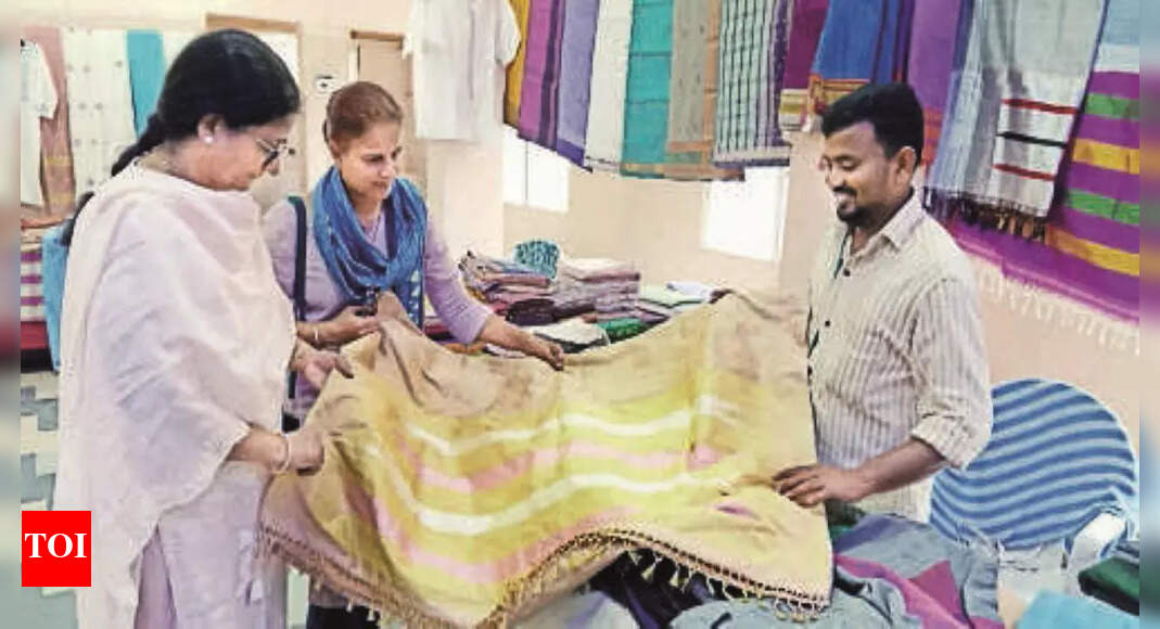 Guledgudda: Areca Dyes Create New Hues For Guledgudda, Ilkal Saris ...