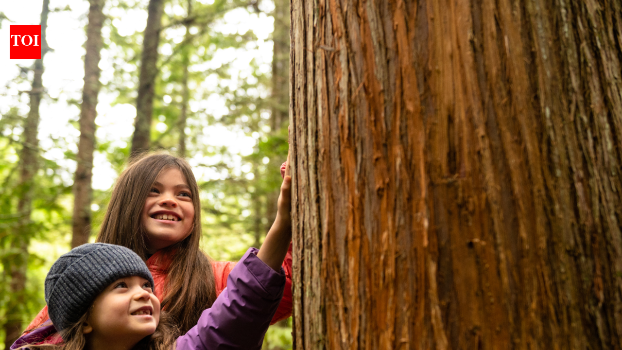 5 benefits of children's much needed exposure to nature