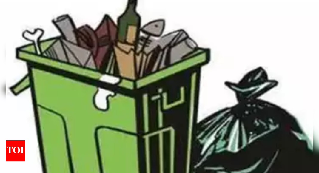 Finnish firm to replace Eco-Green for solid waste management in Lucknow ...