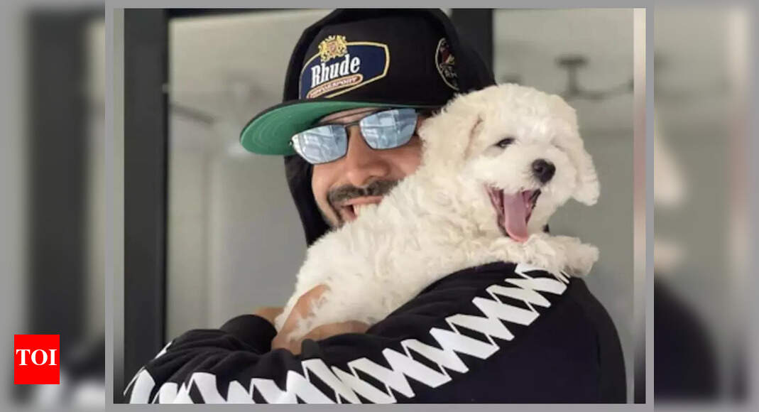 Kartik Aaryan’s idea of his ideal soulmate has a connection to his dog ...