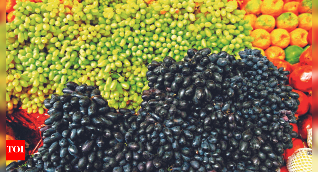 Karnataka govt to promote Namma Vijayapura Drakshi brand | Hubballi ...