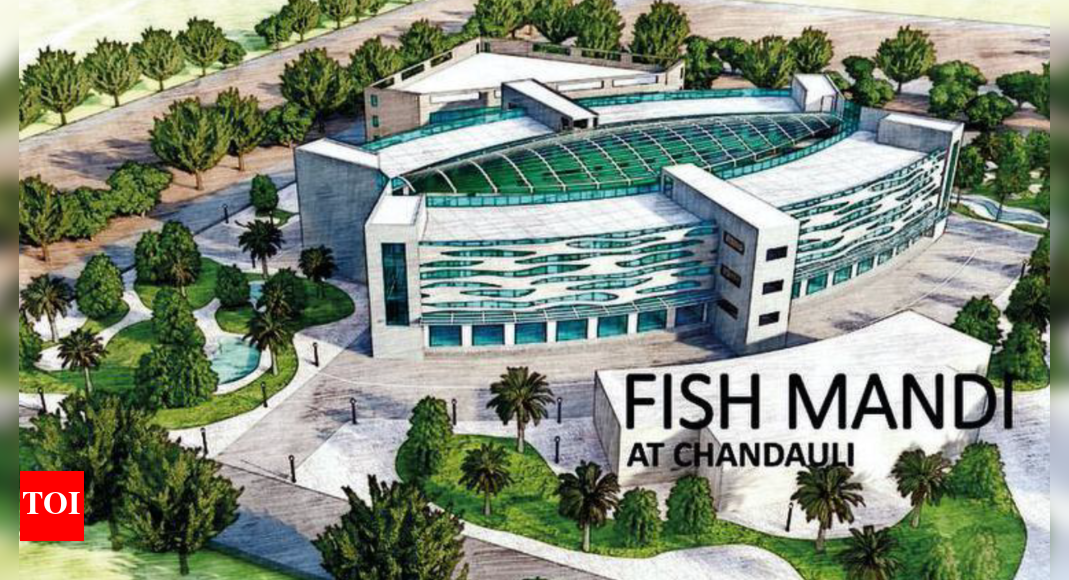 Chandauli to get integrated fish trading centre by July '24 | Varanasi ...