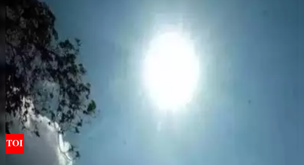 After slight fall, temperature to rise by 2°C again in Goa | Goa News ...