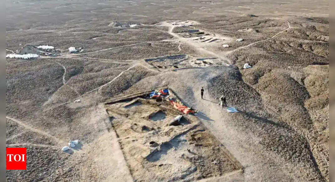 5,000 years old fridge along with food found by archaeologists - Times ...