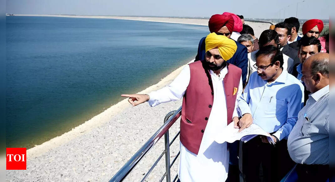 Will replicate Telangana model for recharging water table, says Punjab ...